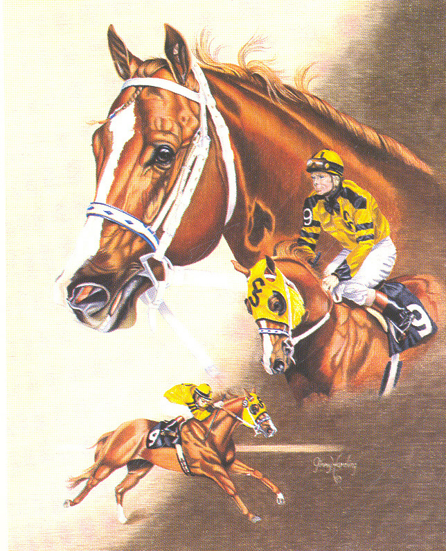 MAFIA FAME • Barrel Quarter Horse Stallion (2009) • In Riproduzione ...