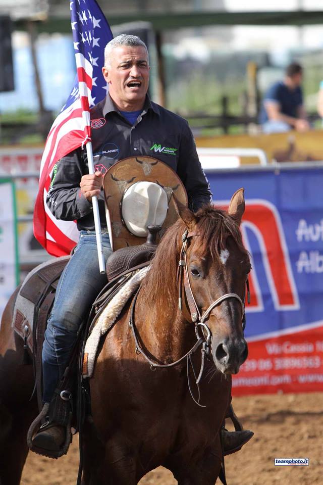 Great_Heartacre_Barone_Quarter_Horse_Stallion_Team_Penning_Sterbini ...