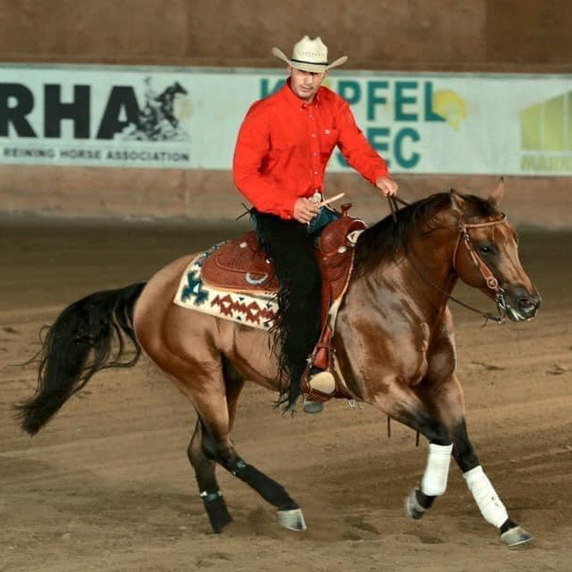 DF FIRE FOX PRIDE 🔥 (2008) • Buckskin Reining Quarter Horse Stallion at ...