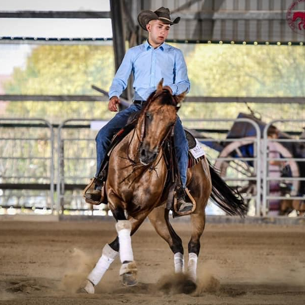 DF FIRE FOX PRIDE 🔥 (2008) • Buckskin Reining Quarter Horse Stallion at ...