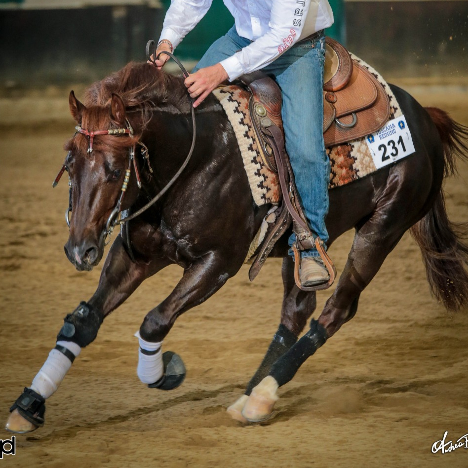 MR INFERNO SEVENTEEN 😈 (2017) • Sorrel Reining Quarter Horse Stallion ...