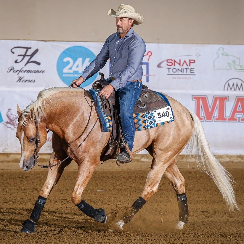 WIMPYS GOLD STEP ☀️ (2019) • Reining Palomino Quarter Horse Stallion at ...