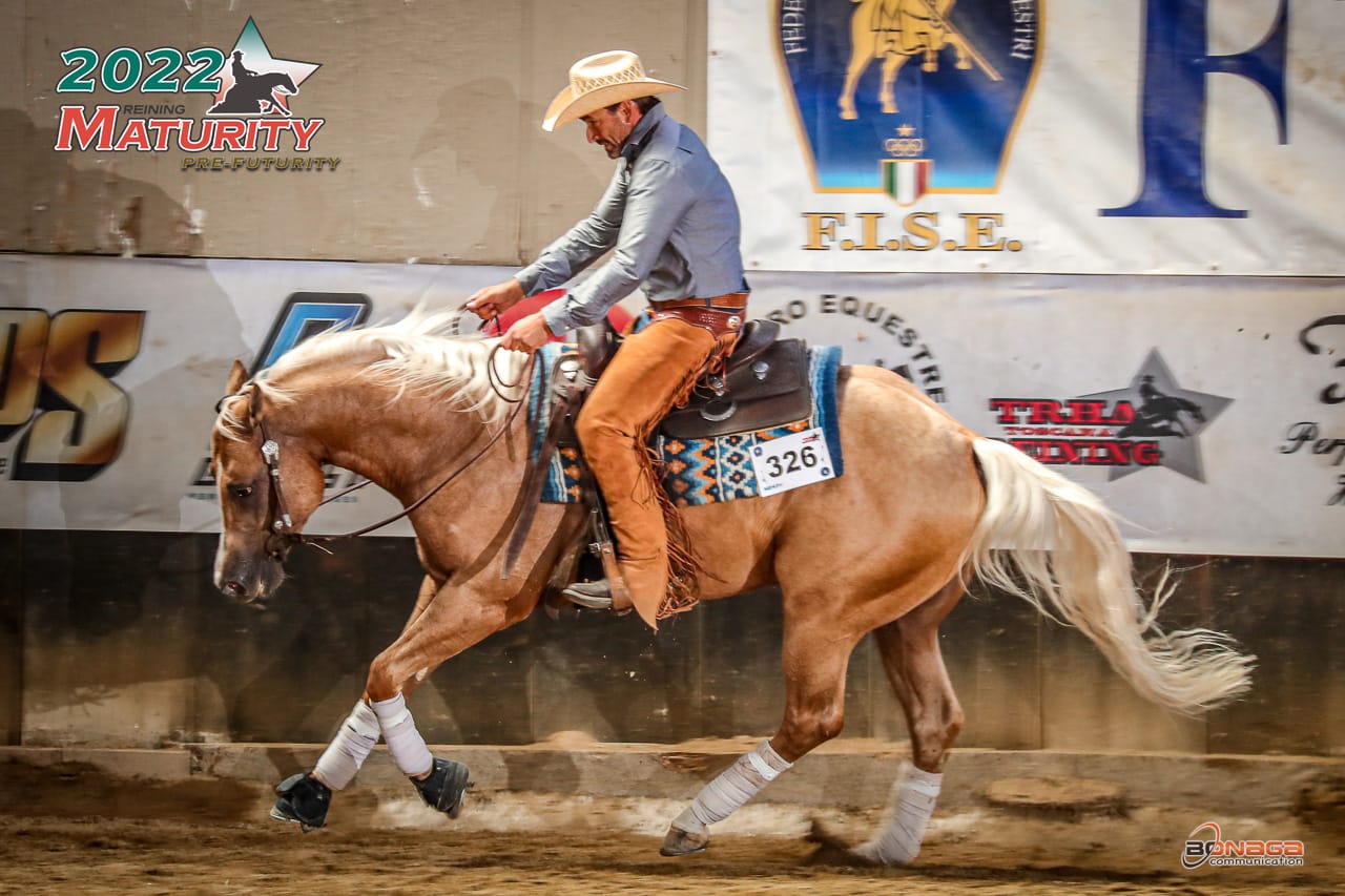 #508 ☀️ WIMPYS GOLD STEP (2019) • Reining Palomino Quarter Horse ...