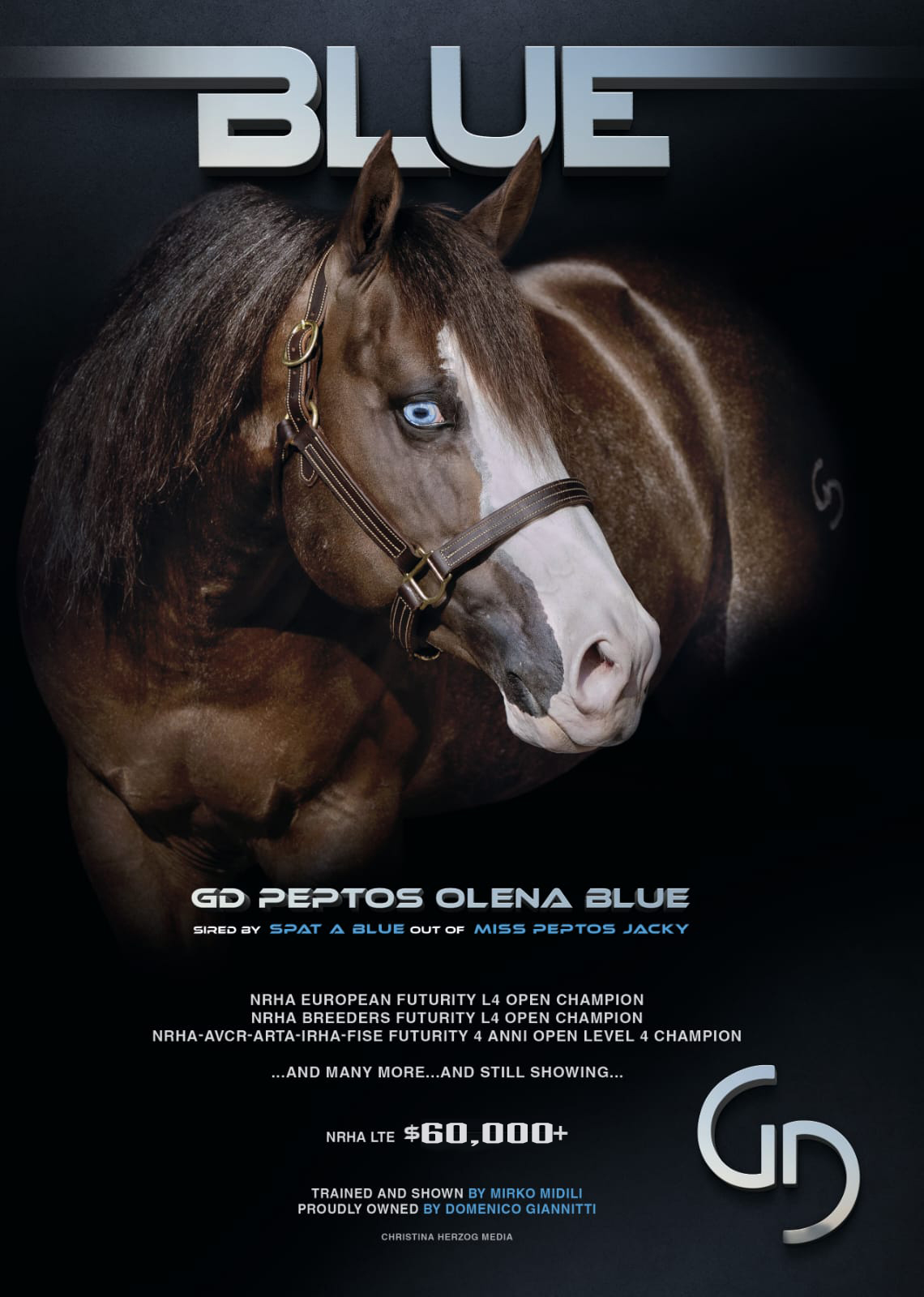 #625 🫐 GD PEPTOS OLENA BLUE (2017) Sorrel Reining Quarter Horse ...